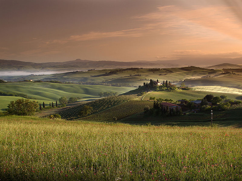 PhysioPod catch up with Ramin Shayan, Associate Professor at University ...